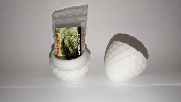 Triops Shop - Urzeitkrebse und Zubehör direkt vom Züchter